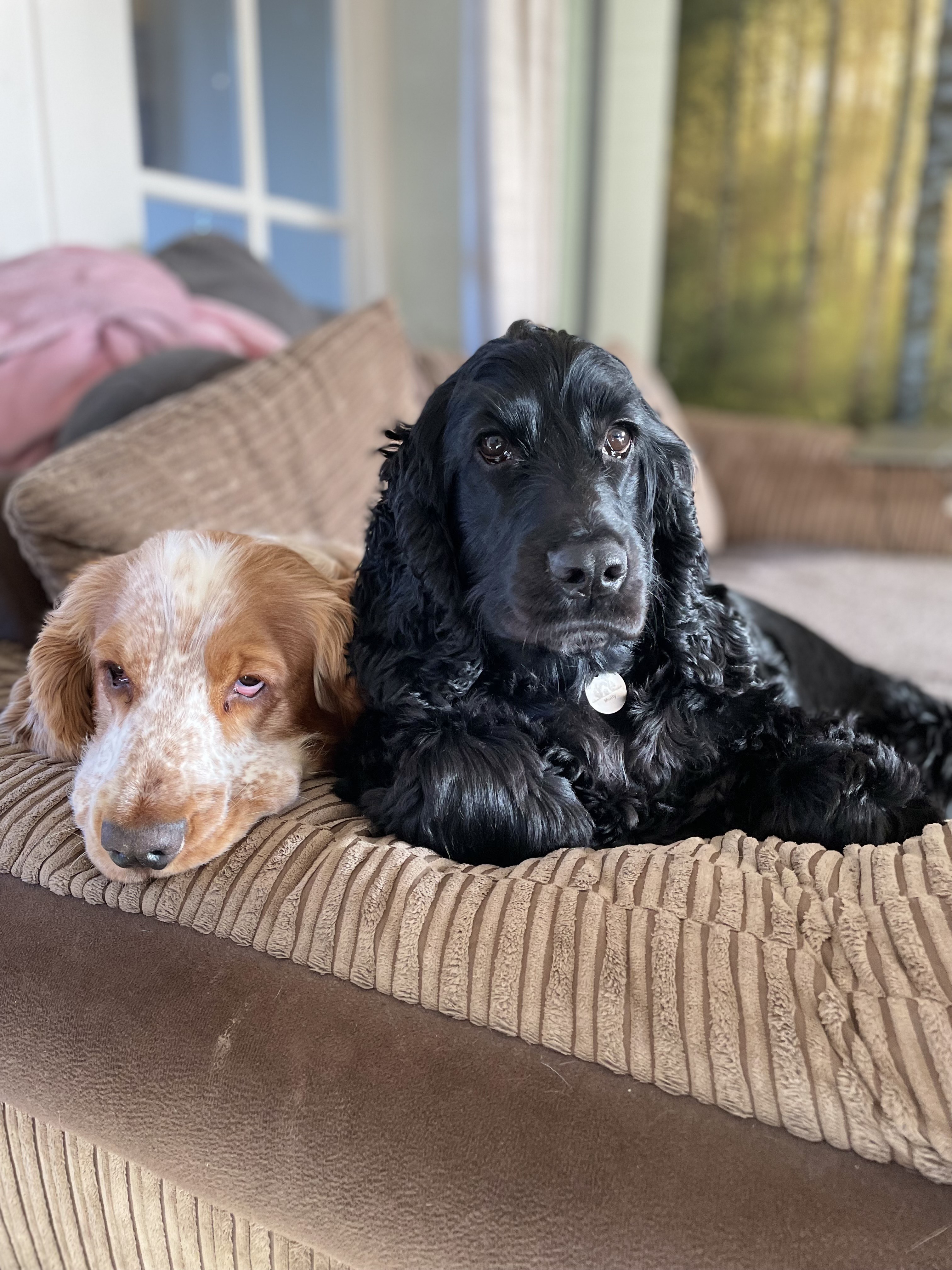 Wednesday 7th January – Suzanna – A Life in A Day